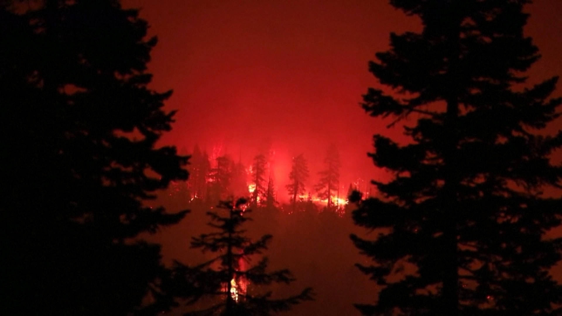 “This Is Climate Change”: West Coast Fires Scorch Millions of Acres ...