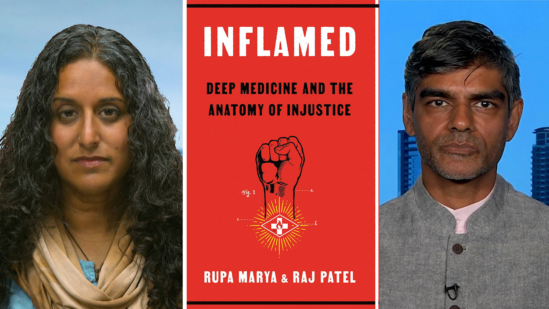 “Inflamed”: Dr. Rupa Marya & Raj Patel on Deep Medicine & How ...