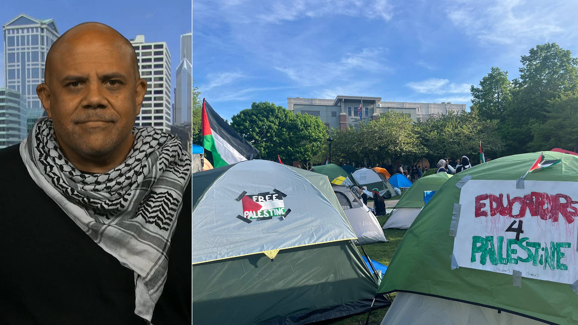 Northwestern Professor Steven Thrasher: You Are Being Lied to About Pro ...