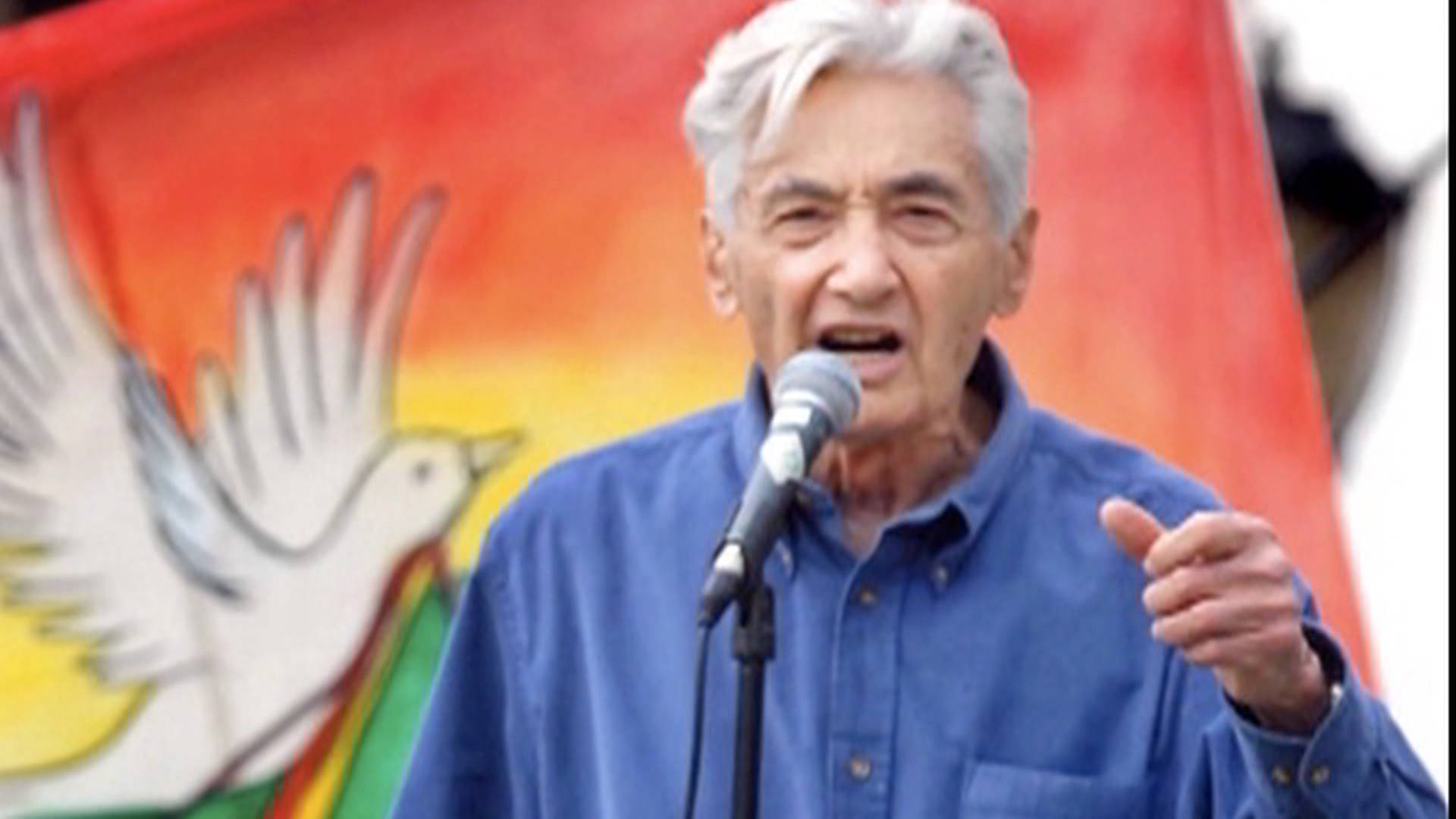 Labor Day Special Featuring Howard Zinn & Voices of a People’s History ...