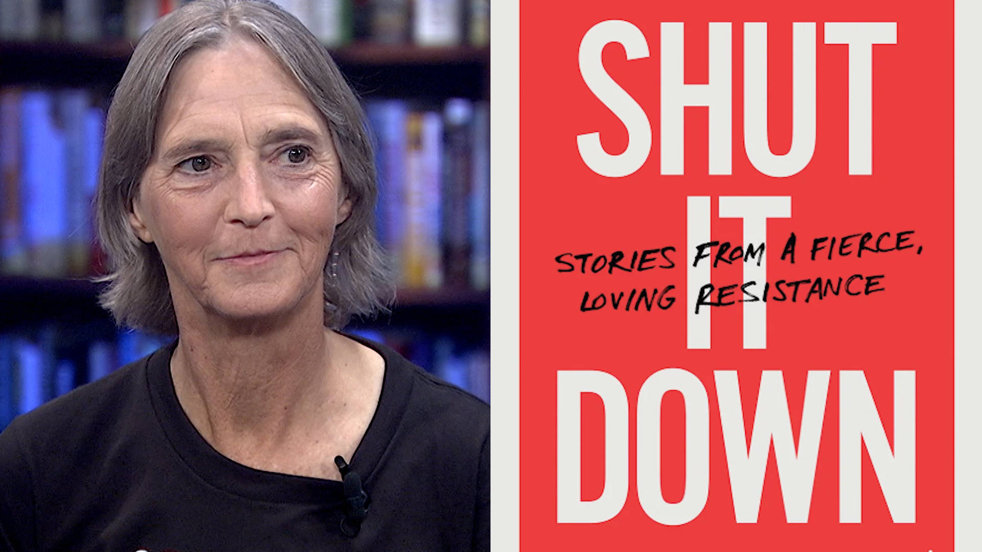 Shut It Down: Veteran Organizer Lisa Fithian Offers a Guide to ...