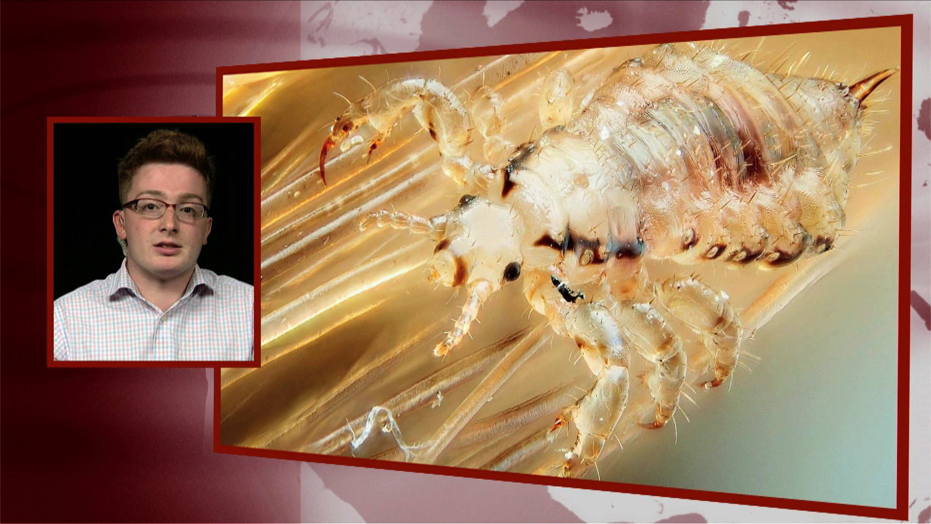 Scientists: Climate Change May Wipe Out a Third of World’s Parasites ...