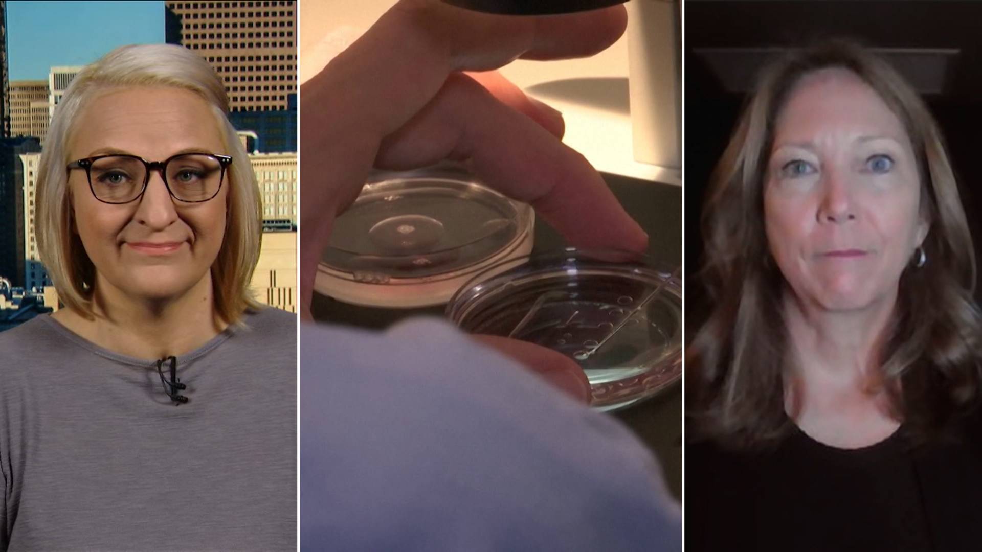 Frozen Embryos Are Children? Reproductive Care in Peril After Alabama ...