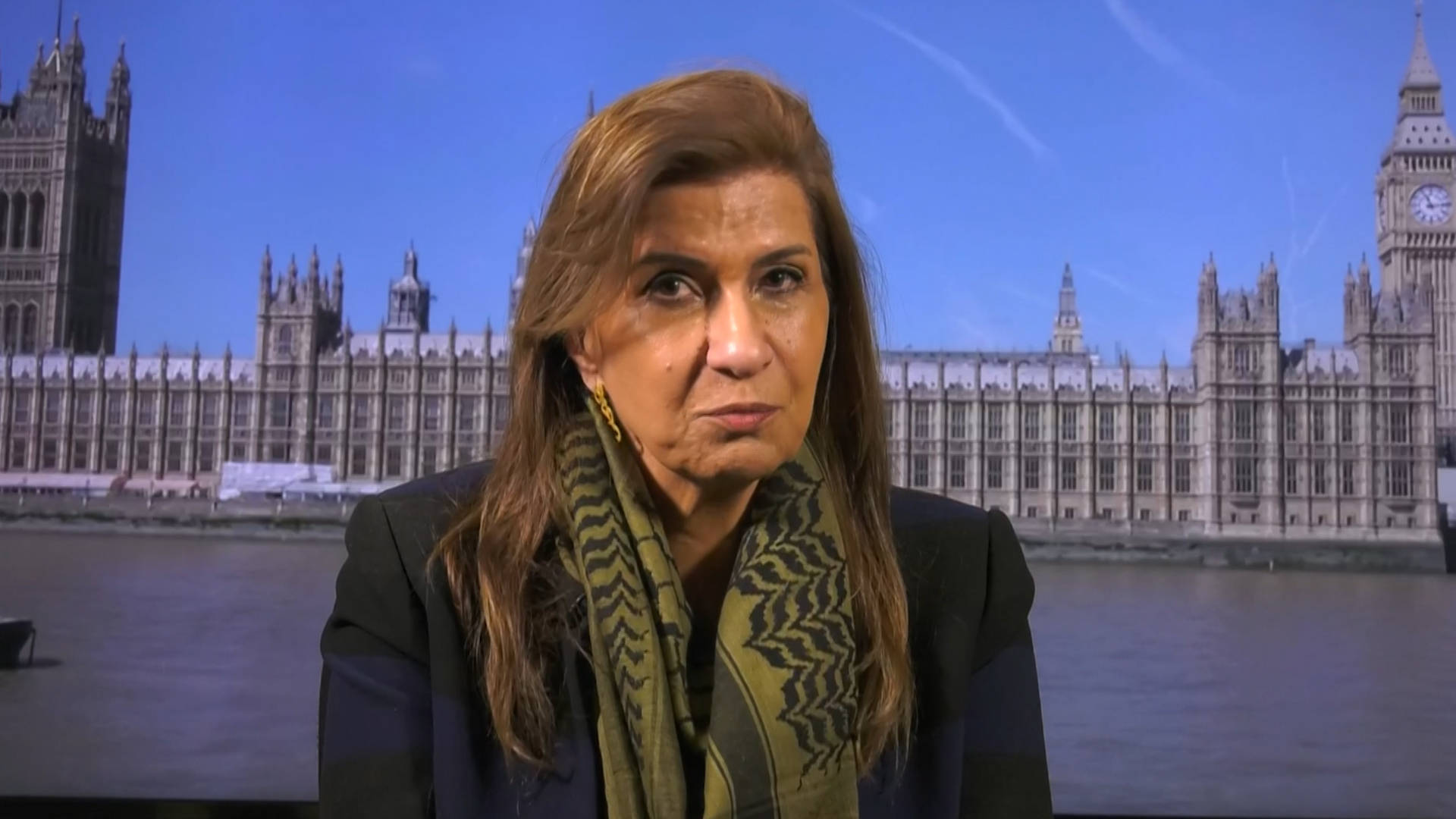 “El antisionismo no es antisemitismo”: la profesora palestina Shalhoub ...