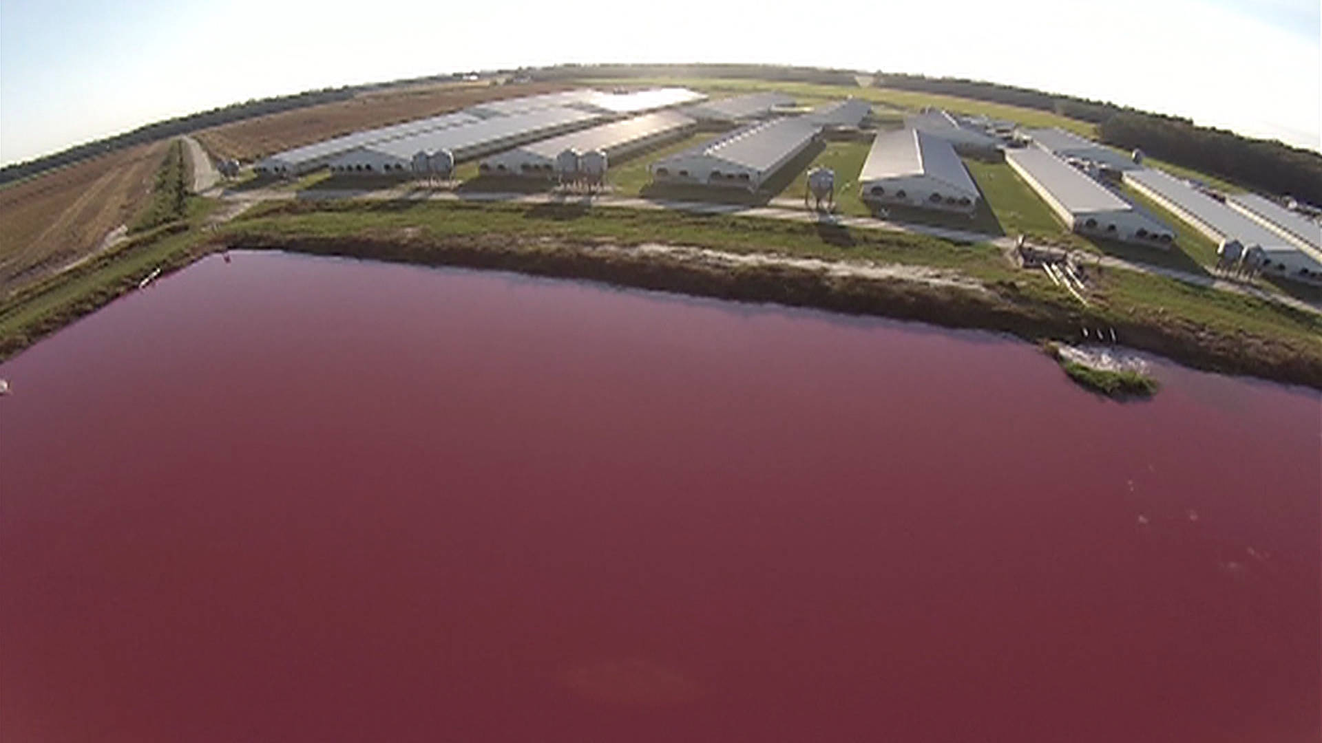 NC Lagoons Hold Billions of Gallons of Hog Feces. The Hurricane May ...