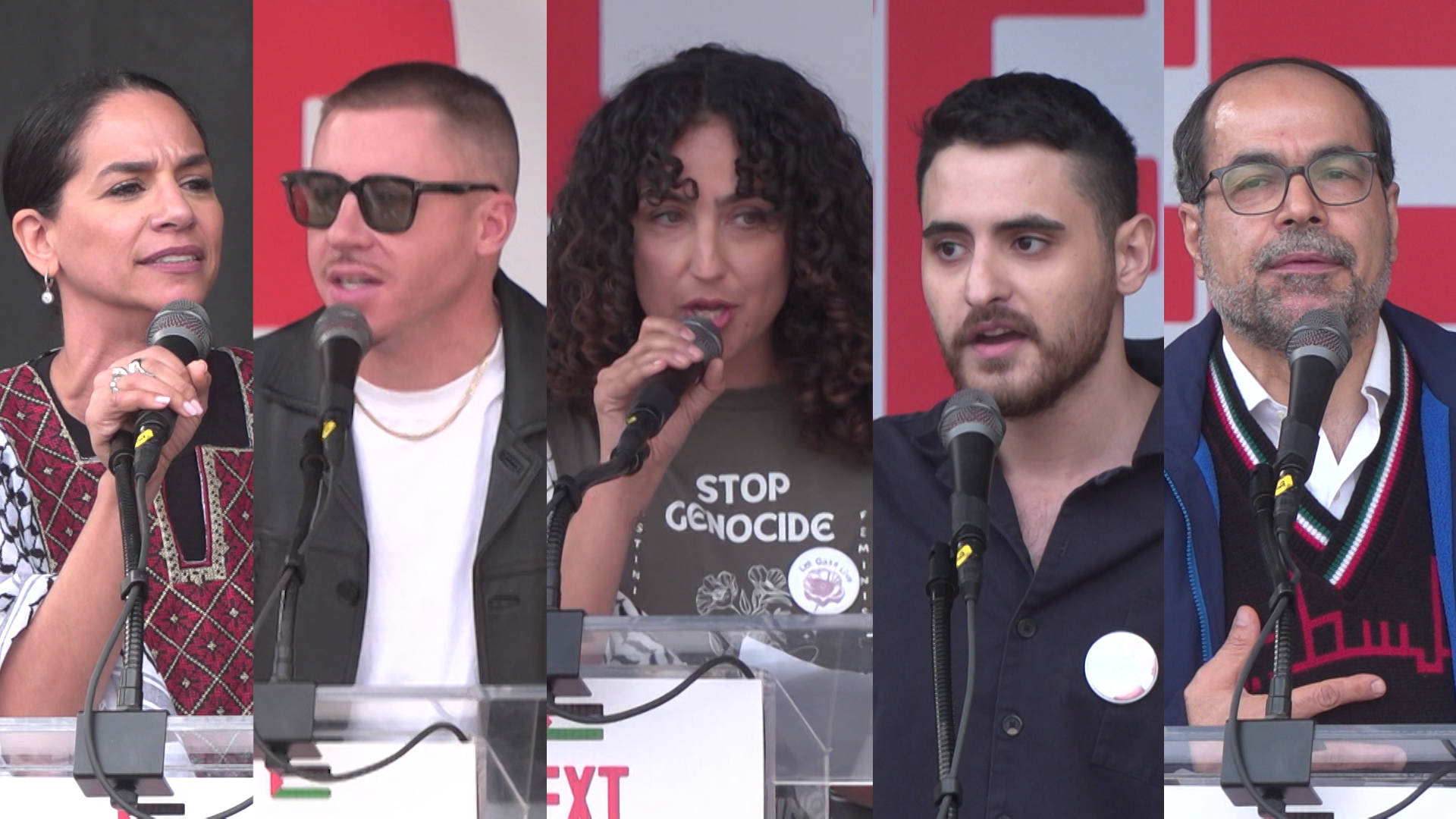 Voices from Largest Pro-Palestinian Protest in U.S. History: Stop the ...