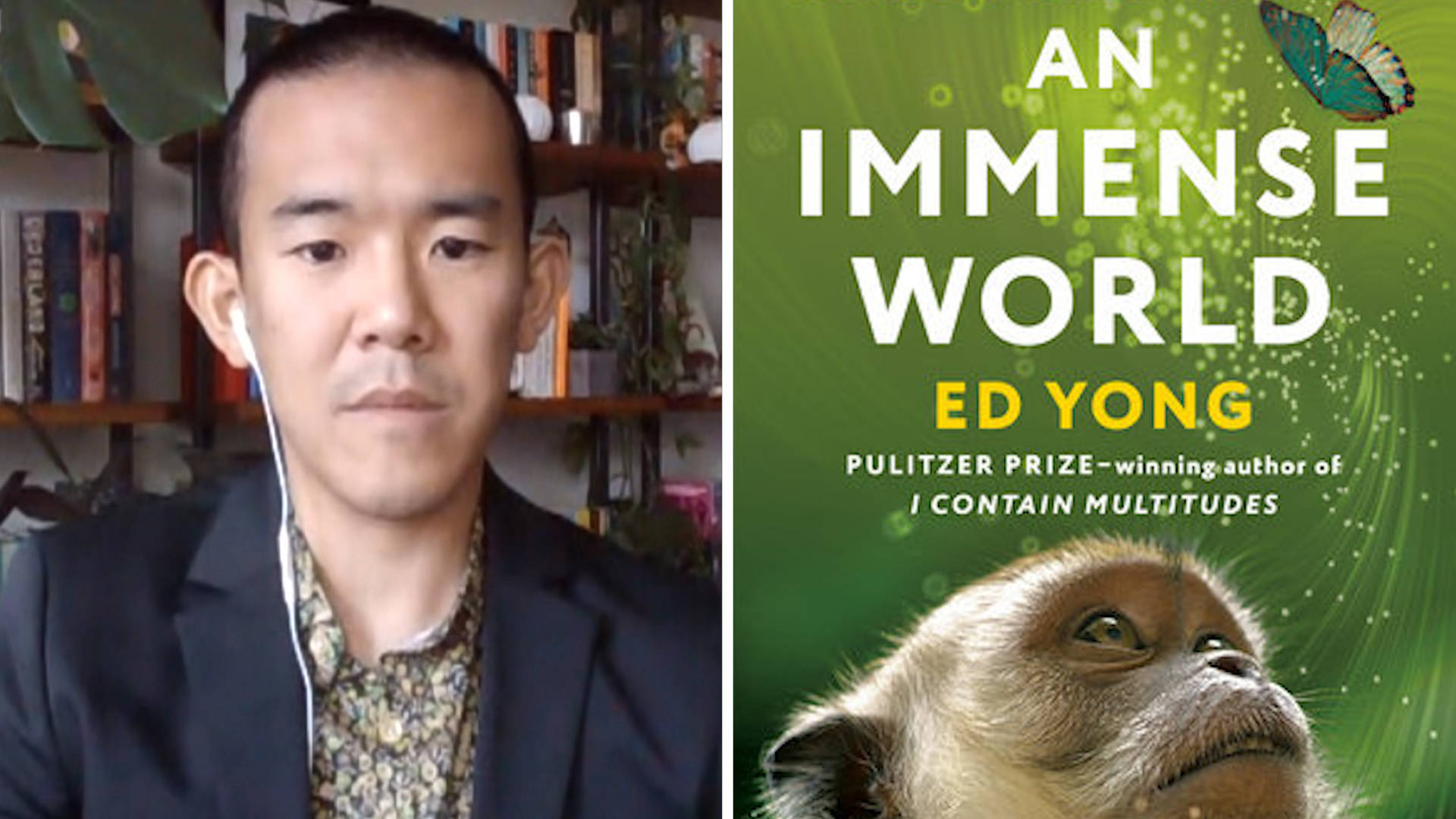 “Un mundo inmenso”: En su nuevo libro, Ed Yong explora cómo las ...