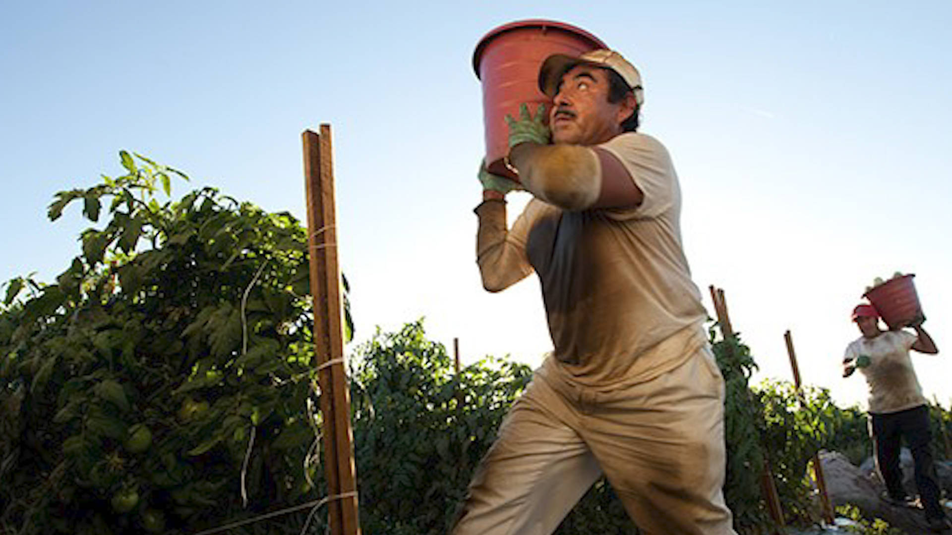 Essential or Expendable? Farmworkers Condemn Lack of Protection and ...
