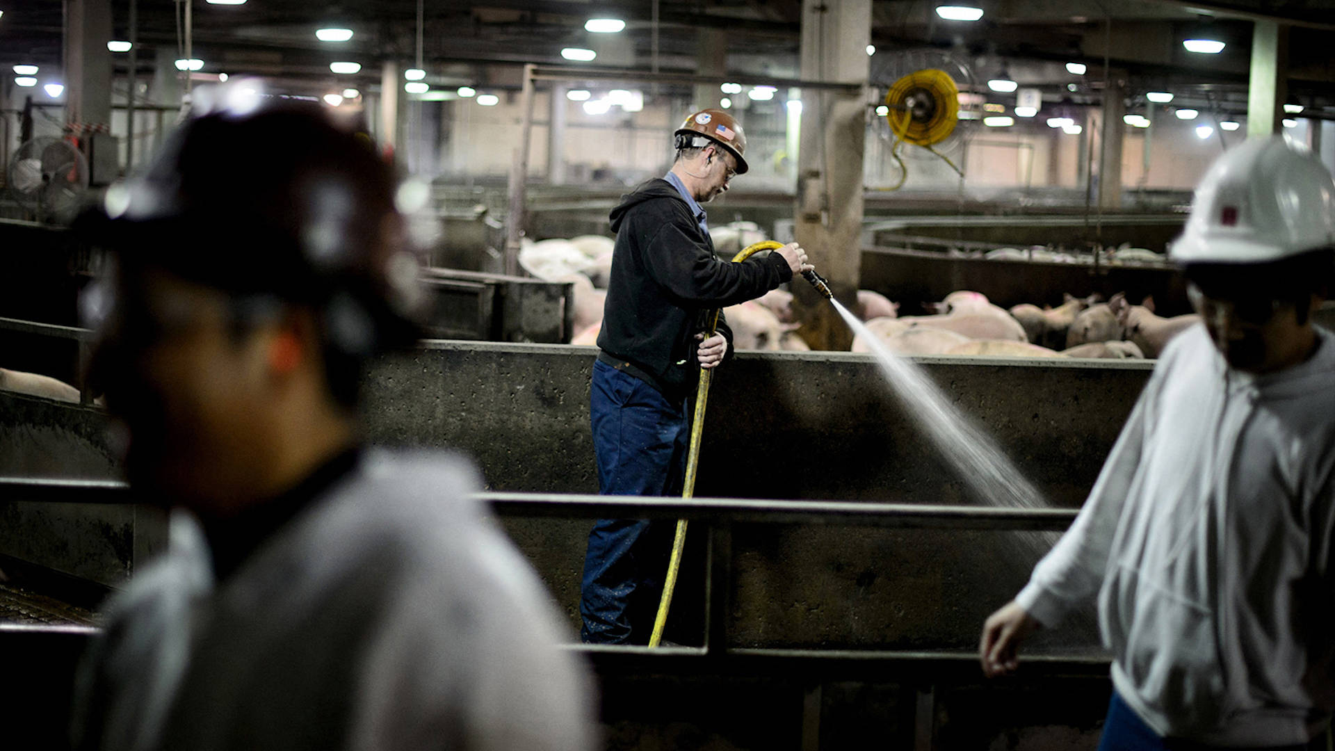 “On the Kill Floors”: Essential Workers in Meatpacking Plants Still ...