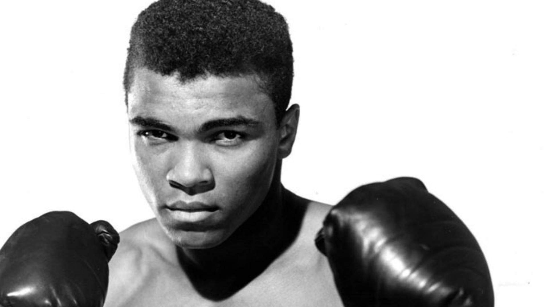 Muhammad Ali | Democracy Now!